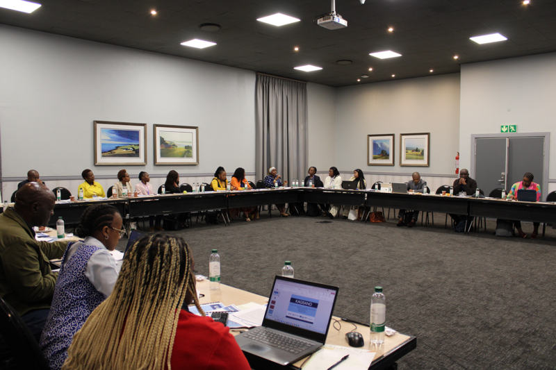 Deliberating to understand social cohesion and reflecting on its fault ...